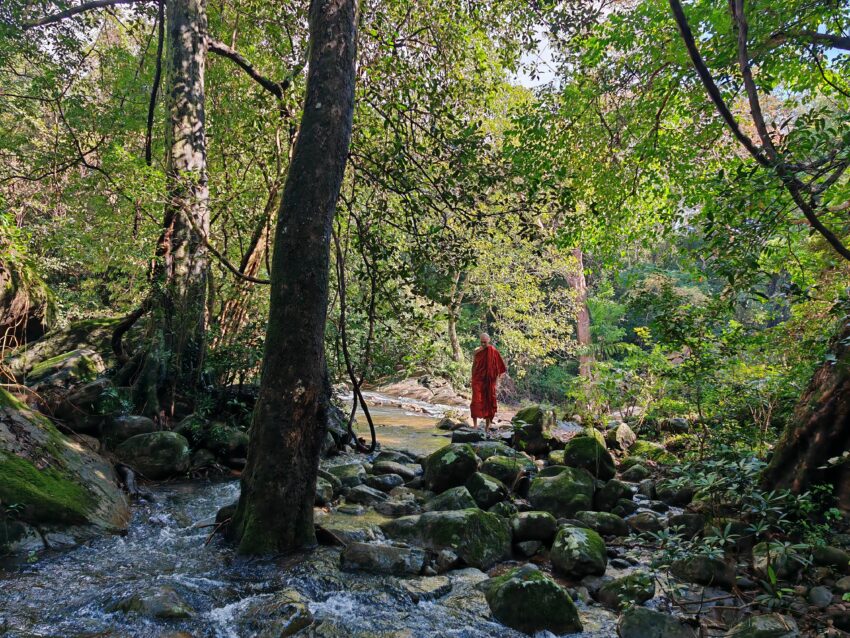 Yoniso manasikāra: муд­рое раз­мыш­ле­ние или мудро направленное внимание